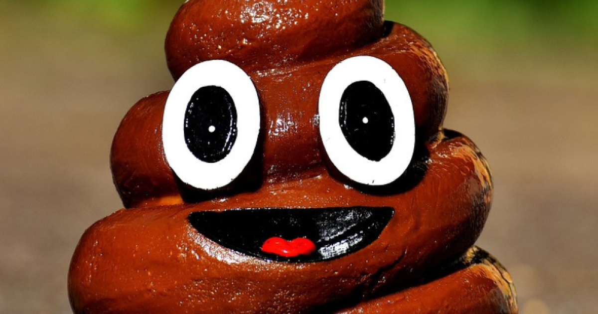 Qué significa soñar con popó: interpretación de los sueños